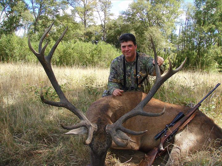 Chile Red Stag Gallery